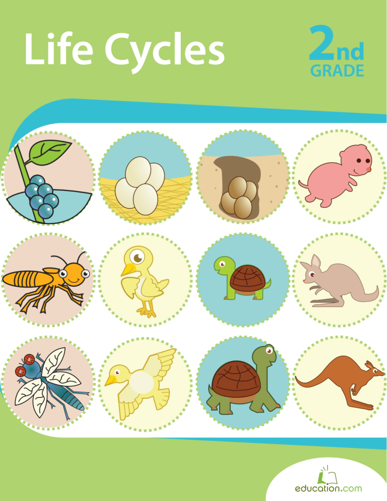 Life Cycles 2nd Grade Workbook - English library